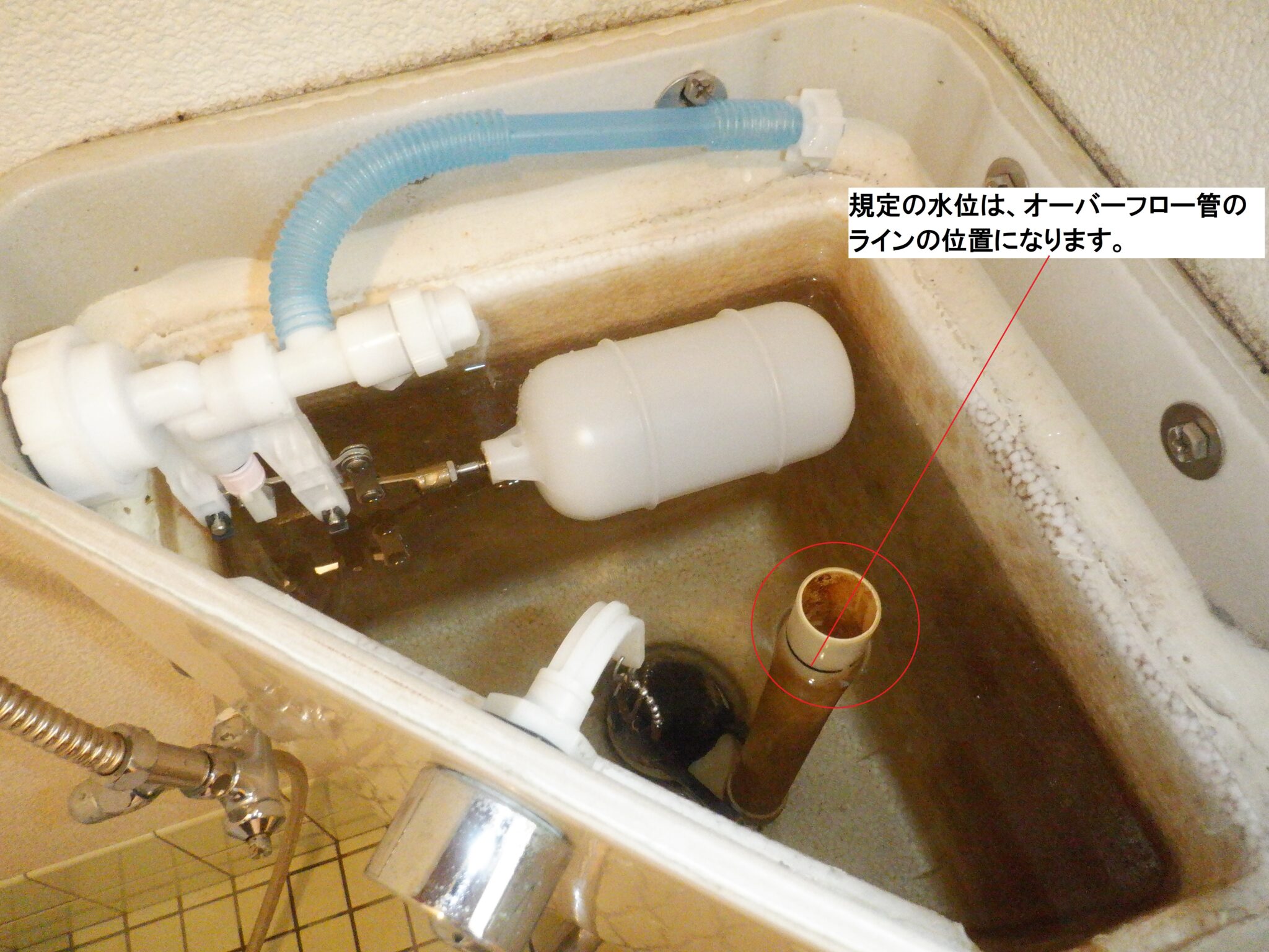 TOTO S670B（S670S）【ﾎﾞｰﾙﾀｯﾌﾟ・ﾌﾛｰﾄﾊﾞﾙﾌﾞ交換】 ﾄｲﾚ隅付ﾛｰﾀﾝｸ 水漏れ修理方法※他、修理部品の記載有り | あなたにも出来るかも？水道修理のブログ